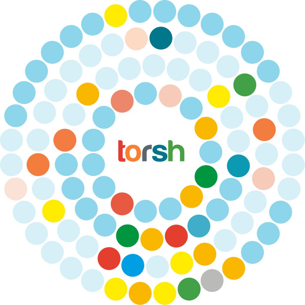 Professional Learning Platform Features and Benefits | Torsh
